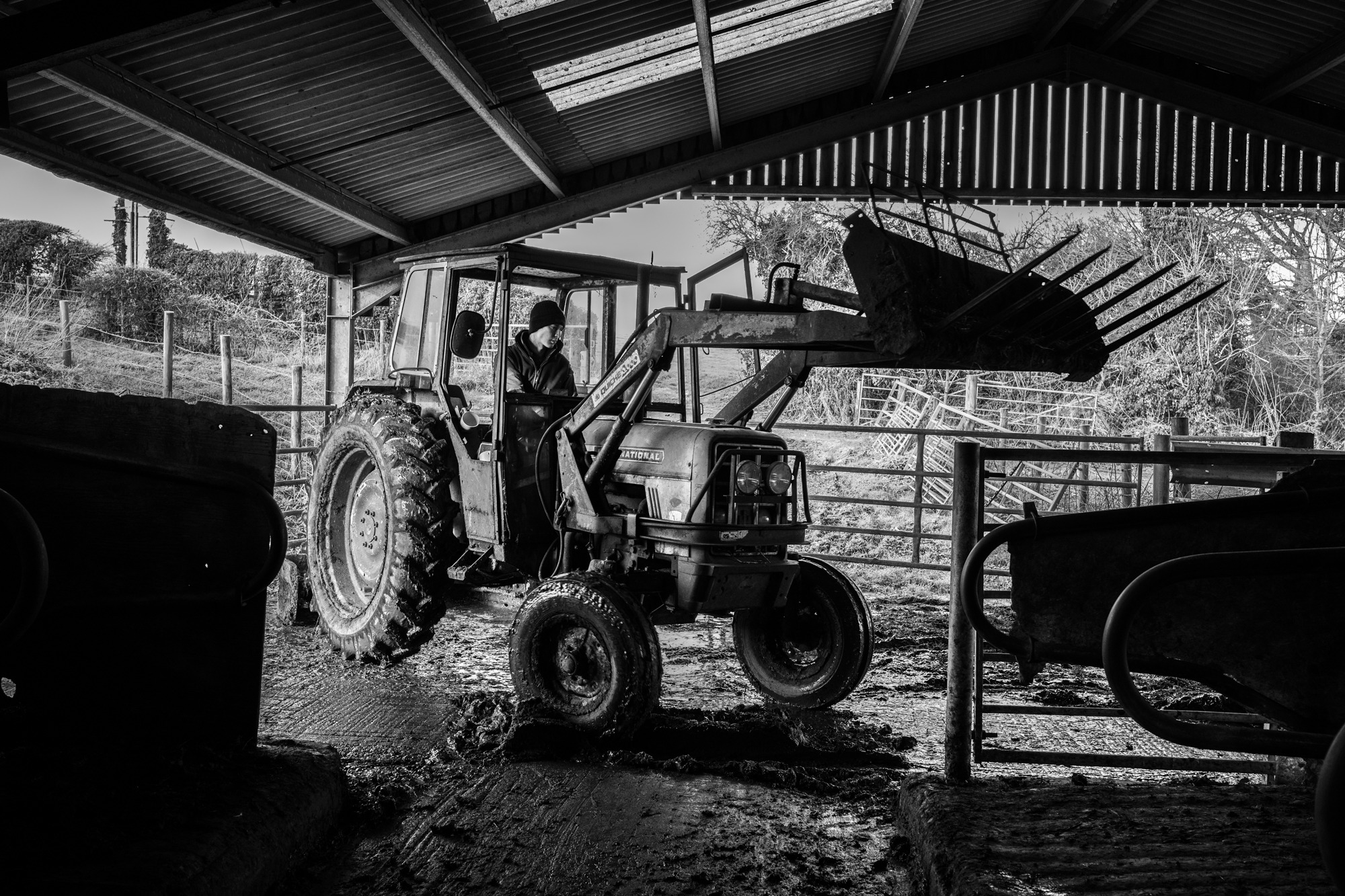County Farms Project - Andrew Cameron