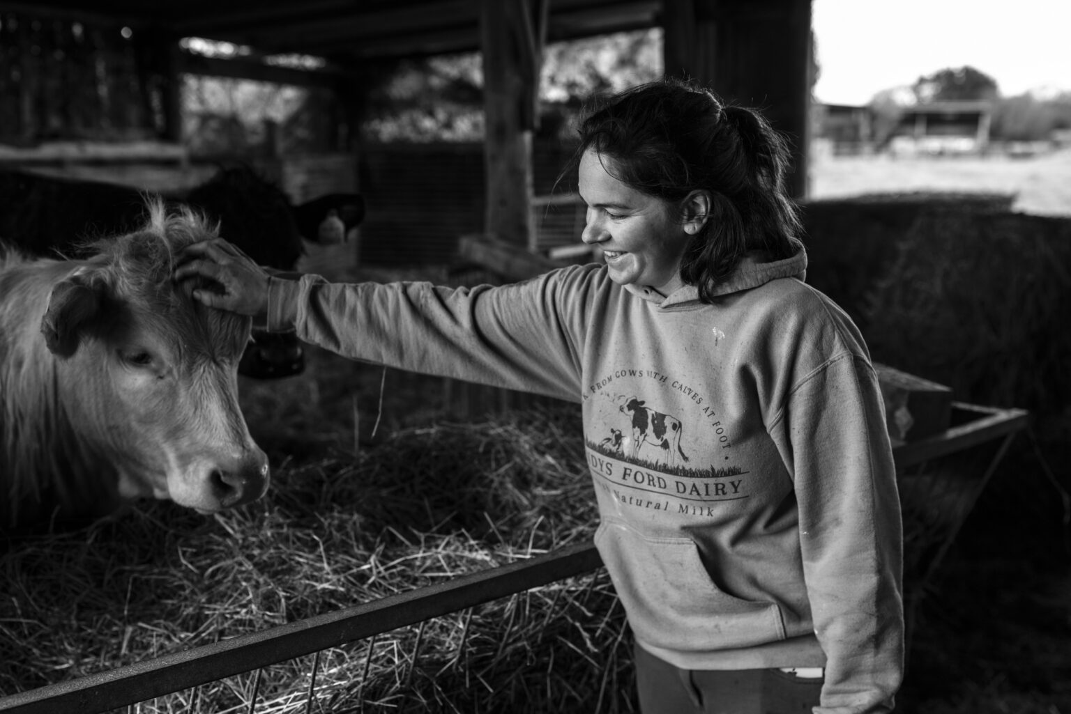 Social Documentary Photography - Hampshire Farming