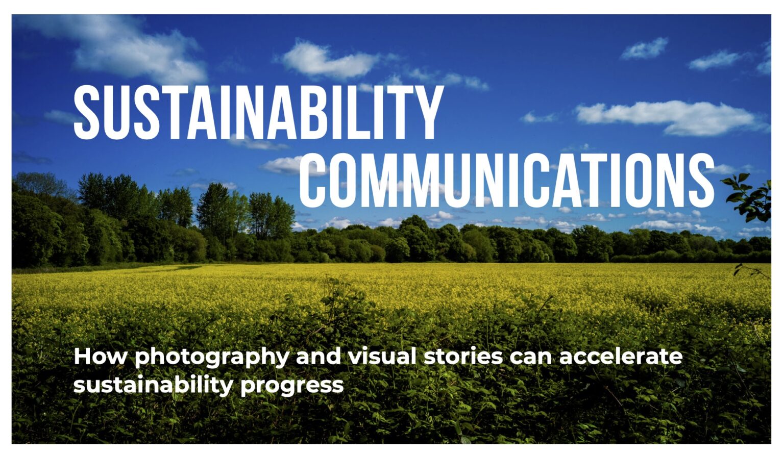 Reasons to use photography in your sustainability reporting and ...