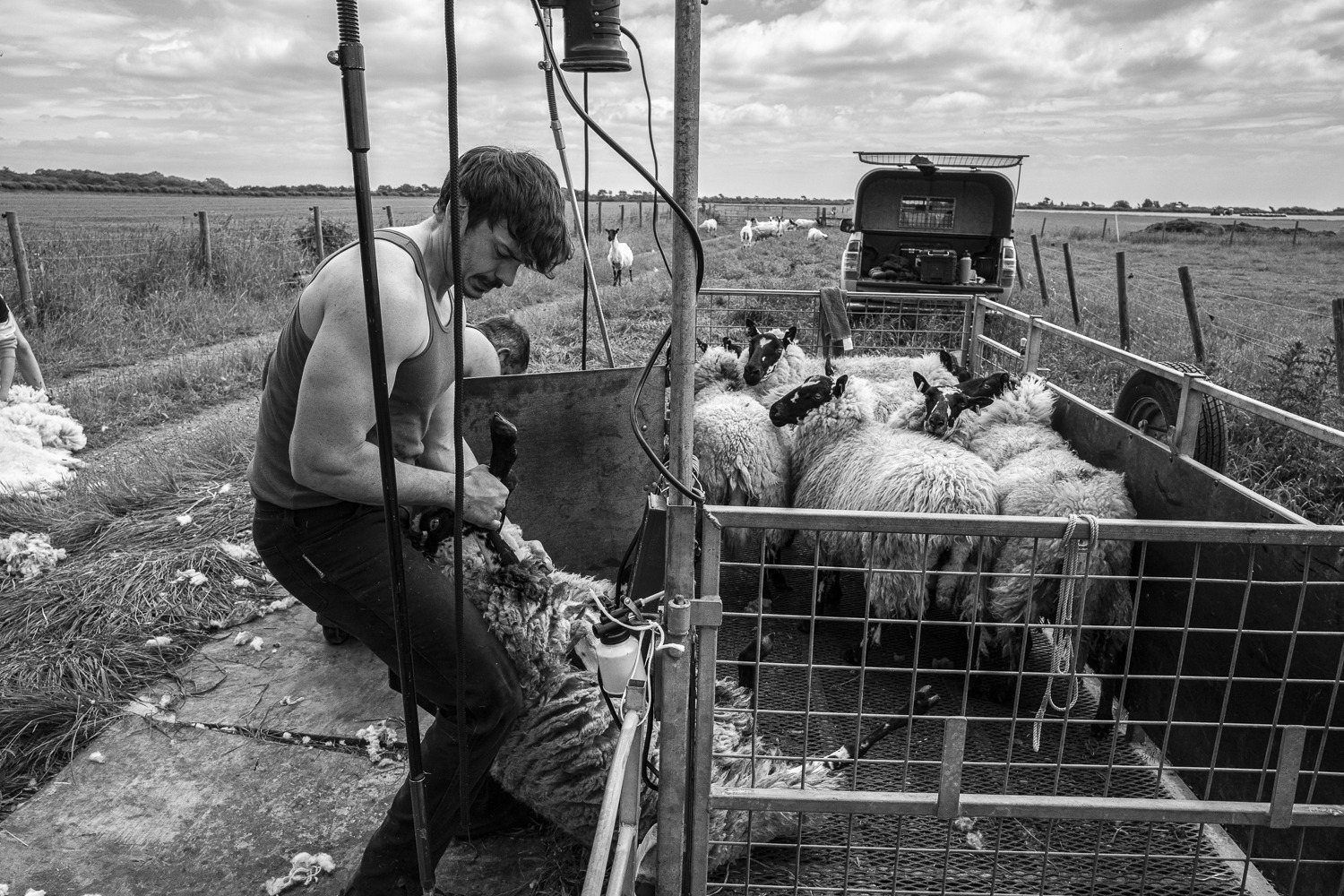 Agricultural and Farming Photography - Andrew Cameron
