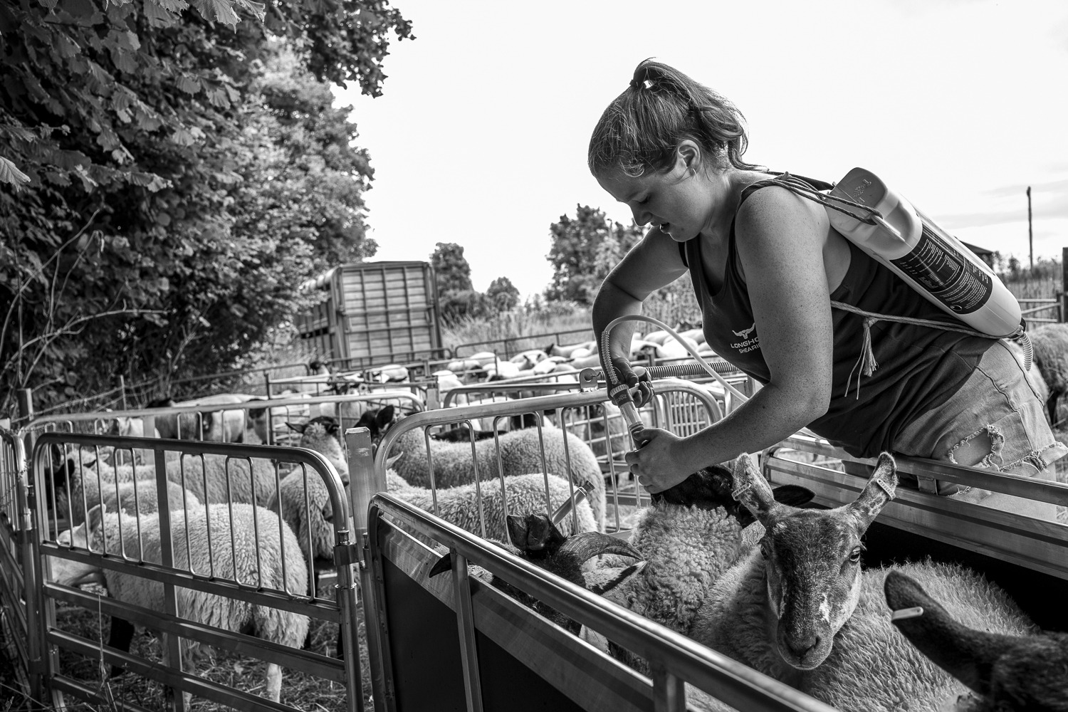 Agricultural and Farming Photography - Andrew Cameron